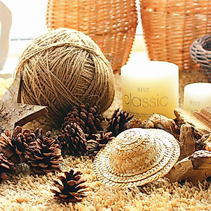 JOHOUSE Natural Pine Cones, Christmas Rustic Pinecones Fall Garland Halloween Thanksgiving Decorations, Christmas Tree Fall Ornaments,18 PCS