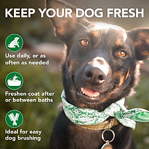 Vet's Best Moisture Mist Dog Dry Skin Conditioner| Dog Conditioner and Detangler Spray | Relieves Itchy Skin, Refreshes & Soothes | 16 oz