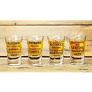 Lillian Rose Party Shot Glasses Set of 4, 4 Count (Pack of 1), Clear