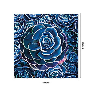 Origami Paper 500 sheets Succulents 6" (15 cm): Tuttle Origami Paper: Double-Sided Origami Sheets with 12 Different Photographs (Instructions for 6 Projects Included)