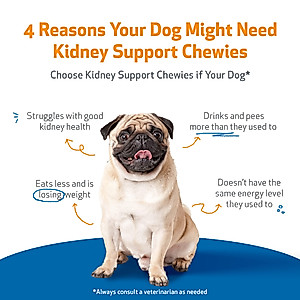 Pet Wellbeing Kidney Support Chewies for Dogs - Vet-Formulated - Supports Healthy Kidney (Renal) Function in Dogs - 90 Soft Chews