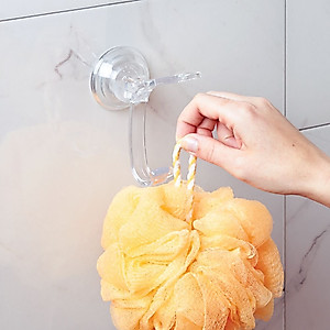 InterDesign Power Lock Suction, Spa Hook, Clear