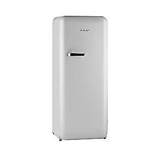iio 24" 10 Cu Ft Top Freezer Retro Refrigerator, Small, with Mini Ice Cube Tray, 4 Glass Shelves, LED, 1 Crisper, Fridge for Bedroom, Dorm RV Office Beverage, Quiet Compressor, Freestanding (White)