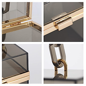 WJCD Cute Clear Acrylic Plastic Neon Hard Frame Party Clutch Purse with Gold Chain Strap (Black)