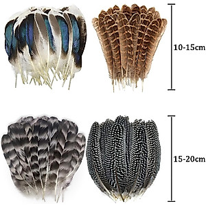 40pcs Natural Pheasant Feathers, Spotted Feathers, Turkey Feathers, 4 Styles Feathers for Crafts DIY Hat Floral Arrangements Wing Quill Wedding Home Party