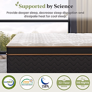 FP FLEXPEDIC Full Mattress, 14 Inch Plush Hybrid Mattress with Gel Memory Foam, Fiberglass-Free Mattress in a Box, Individual Pocket Spring-Motion Isolation-Edge Support, 100 Nights Trial,CertiPUR-US