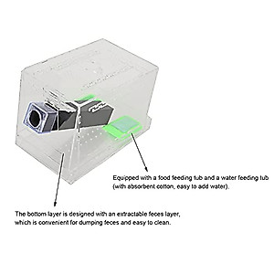 Luroze Cricket Care Kit, Easy to Cricket Keeper Tank Box High Transparency Acrylic Material for Home for Office(S)