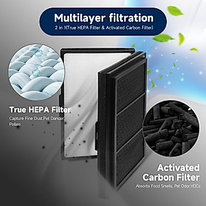 GoKBNY 2-Pack True HEPA Replacement Filter Compatible with Blueair Pro M, Pro L, Pro XL Purifiers