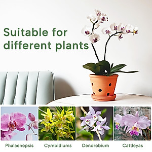 6 inch Terracotta Orchid Pots with Holes and Saucers, 3 Pack Clay Orchid Planter Pots for Repotting, Small Terra Cotta Orchid Pot, Plant Flower Pots for Orchid Indoor Outdoor Promotes Air Circulation
