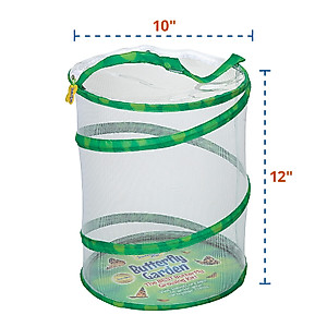 Butterfly Garden with Two Live Cups of Caterpillars - Includes Both English and Spanish Butterfly STEM Activity Journals