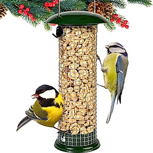 Premium Steel Sunflower Seed and Peanut Feeder, 9.5" Tall, Wild Bird Feeder for Woodpeckers, Titmice, Nuthatches, Chickadees, Jays and More, Gifts for Mom, for Women, Gifts for Dad