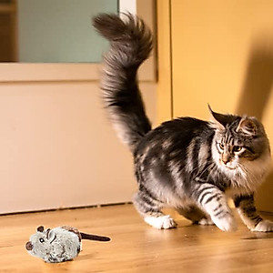 Cat Toys 2 PCS Interactive for Indoor Cats Automatic Squeaking Mouse and Feather Bird Melody Sound Chaser Set Lifelike Plush Electronic Kitty Toy (Grey)