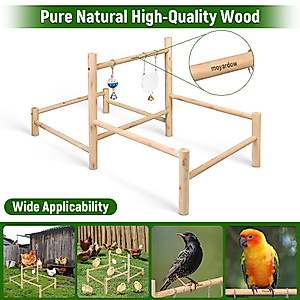 Chicken Perch Strong Pine Wooden Chick Jungle Gym Roosting Bar, Large ChickTraining Perch Toys for Baby Chicks, Chick Perch for Coop and Brooder for Large Bird, Chicks, Parrot
