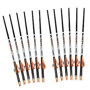 Ravin Crossbows 12-Pack of 400 Grain Carbon Arrows (R139), for use with any Ravin Crossbow
