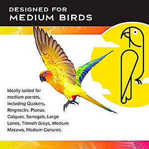 Paradise Toys Cotton Preening Ring, Medium, 12 x 8 inches