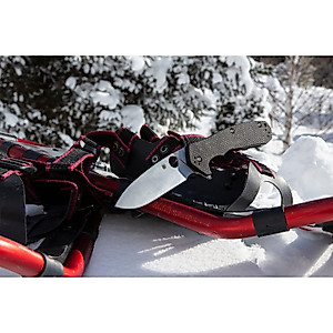 Spyderco Amalgam Premium Flipper Knife with 3.8" CPM S30V Stainless Steel Blade and Textured Carbon Fiber G-10 Handle - PlainEdge - C234CFP