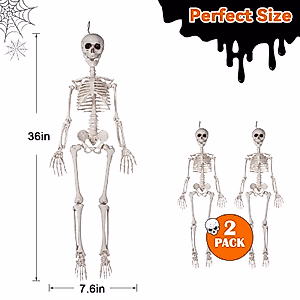 DECORLIFE 2 Pack 36" Skeleton Halloween Decorations, Plastic Posable Skeleton Decor with Movable Joints for Haunted Houses, Lawn, Graveyard, Trunk or Treat (White)