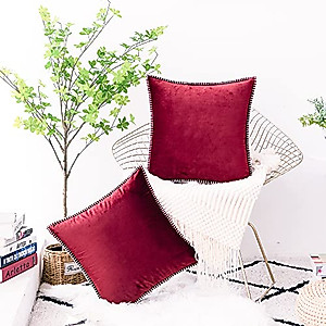 GAWAMAY Velvet Farmhouse Spring Pillow Covers 18x18 Set of 2,Decorative Green Throw Pillows with Chenille Thread Edge,Square Boho Couch Pillows for Living Room Sofa Couch Beding(45x45cm) Burgundy Red