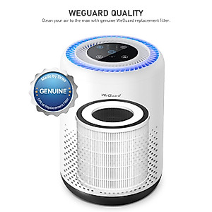 WeGuard HEPA Replacement Filters Compatible with WeGuard K300 Air Purifier, 3-in-1 Filtration System, H13 Grade True HEPA and Activated Carbon Filter Set