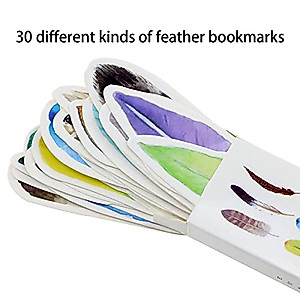 Haidong 2 Boxes/60PCS Color Feather Paper Reading Bookmark, Feather Shape Bookmark Stationery Supplies, Feather Bookmark