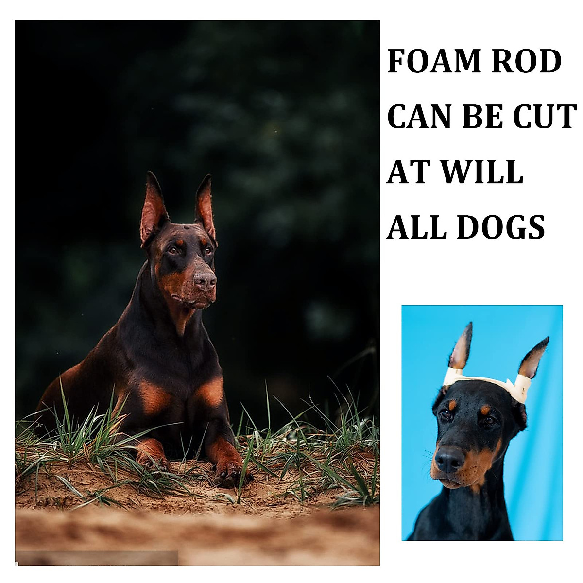 ziyue Doberman Ear Posting Kit, Dog Ear Cropping Dog Ear Stand up Care Tape Kit for Doberman Pinscher Dogs