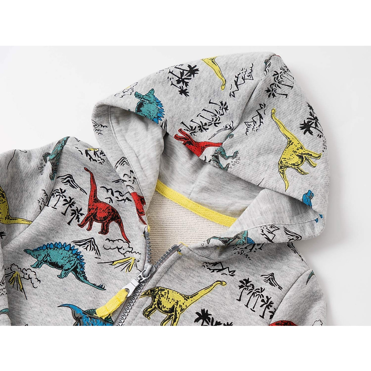 LeeXiang Toddler Boys Full Zip Dinosaur Hoodies Comfortable Sweatshirt (Dinosaur, 4-5T)