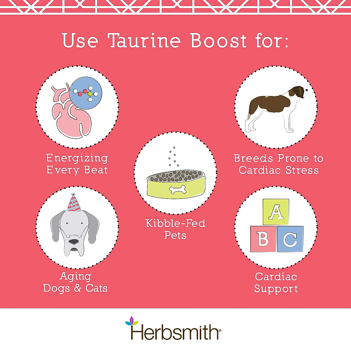 Herbsmith Taurine Boost - Cardiac and Heart Support for Dogs and Cats - Taurine Supplement for Dog and Cat Heart Health – with CoQ10, Taurine and L-Carnitine for Dogs - 75g