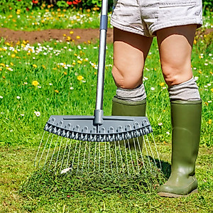 Colwelt Thatch Rake -24 Steel Tines, Dethatching Rake with 54’’ Lightweight Stainless Steel Handle, Yard Dethatcher Rake for Lawn(Pine Needles, Dead Grass, Thatch, Leaves, Mulch)