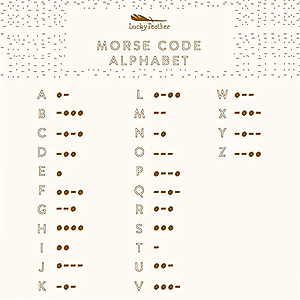 Lucky Feather Morse Code Secret Message Necklace - BFF