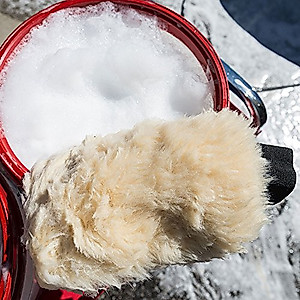 Chemical Guys ACC144 Bear Claw Scratch Free Premium Wash Mitt, 1 Pack