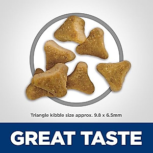 Hill's Science Diet Indoor, Senior Adult 11+, Easy Litter Box Cleanup, Dry Cat Food, Chicken Recipe, 3.5 lb Bag