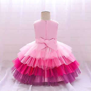 Flower Baby Girl Lace Dress Toddler Tulle Sleeveless Bow Princess Party Wedding Pageant Bridesmaid (Pink.4-5 T)