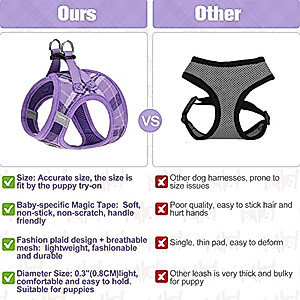 BEAUTYZOO Small Dog Harness and Leash Set,Step in No Chock No Pull Soft Mesh Dog Harnesses Reflective for Extra-Small/Small Medium Puppy Dogs and Cats, Plaid Dog Vest Harness for XS S Pets, Purple S