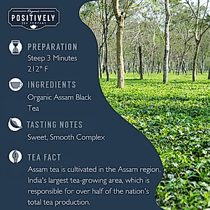 Organic Positively Tea Company, Assam TGFOP Black Tea, Loose Leaf, 16 Ounce