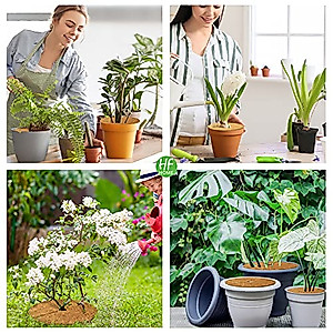 HFHOME 8pcs 17.5" Dia Coconut Fibers Tree Mulch Ring Protector Mat, 17.5 Inch Natural Coco Coir Tree Protection Mats, Tree Disc Plant Cover for Indoor Outdoor Lawn, Potted Plants