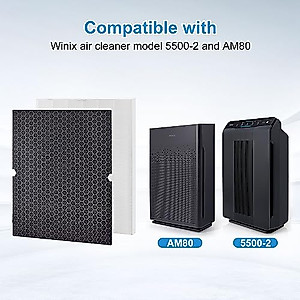 116130 Replacement Filter H for Winix 5500-2 Air Purifier and AM80 Models, Ture HEPA Filter and Activated Carbon Pre-Filters Combo Pack, Part No. 116130 replacement filter (Winix 5500-2- 1 Sets)