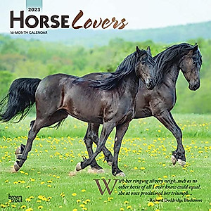 Horse Lovers | 2023 12 x 24 Inch Monthly Square Wall Calendar | Foil Stamped Cover | BrownTrout | Animals Equestrian