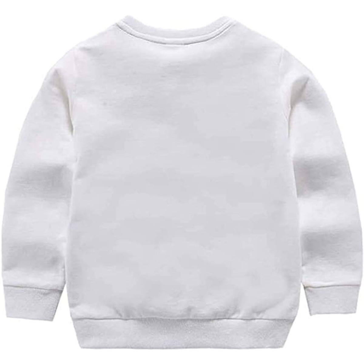 HAXICO Unisex Kids Solid Cotton Pullover Sweatshirt T-Shirt Toddler Baby Boys Girls Crewneck Long Sleeve T-Shirt Tops Blouse White, 2T