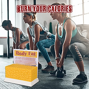 SimCoach Human Body Fat Replica 5 Lbs, Keep Fit & Weight Loss Motivation & Reminder, Silicone Human Fatty Tissue Demonstration Model for Nutritionist, Athlete