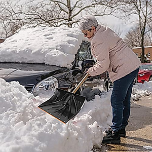 Snow Shovel Replacement Blade Snow Shovel Head Replacement: Snow Shovel Attachment Ash Scoop Dustpan Coal Shovel Plant Shovel for Gardening Home Ice Shovel