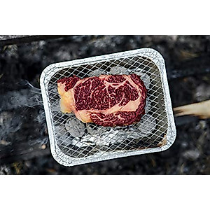 EZGRILL Disposable Charcoal Grill Ideal for Camping and Tailgate Parties -Pack of 2 Small size Portable, Easy To Light, and Convenient charcoal grill Lasts 1.5 hours Grill Anytime, Anywhere