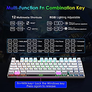HUO JI E-Yooso Z-88 RGB Mechanical Gaming Keyboard, Metal Panel, Brown Switches, 75% Compact 81 Keys for Mac, PC, Silver and White