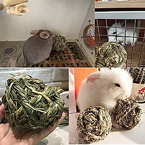 Rabbit Chew Ball Timothy Grass Grinding Small Animal Activity Play Chew Toys for Bunny Rabbits Hamster Guinea Pigs Gerbils
