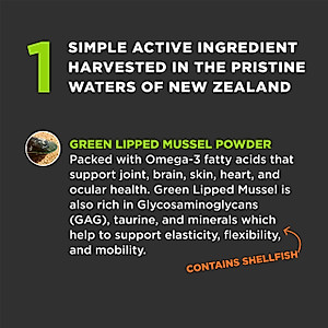 Super Snouts Joint Power – 60 Soft Chews – Joint Supplement for Dogs and Cats with Green Lipped Mussel Helps Ease Discomfort & Stiffness– Made in The USA