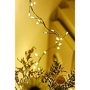 Dailyart 6feet 120 LED Starry Lights, Battery Operated Waterproof Dark Green Copper Wire Fairy Light String Light for Garland, Wreath, Patio, Garden, Wedding, Party, Xmas