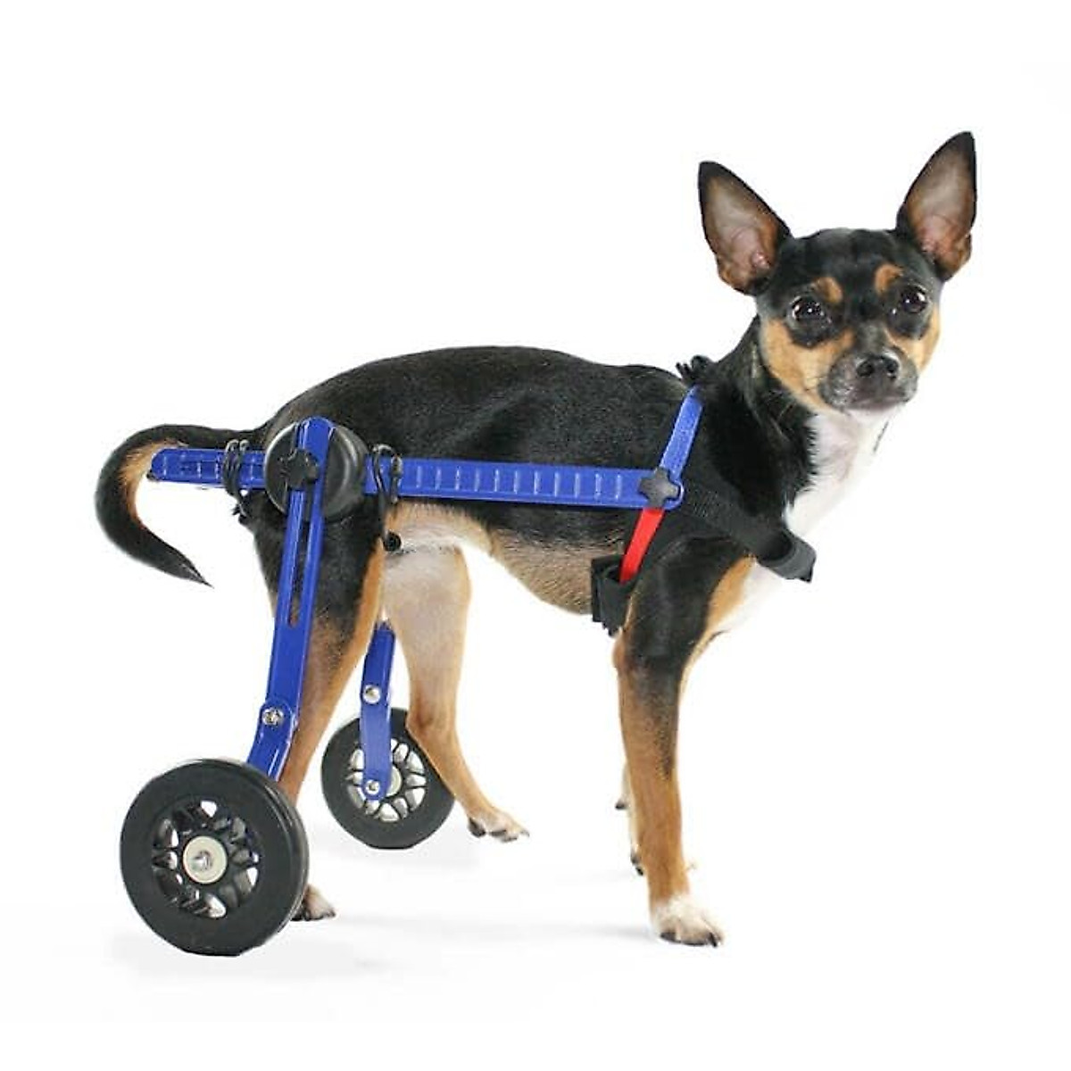 Dog Wheelchair - XS for Mini/Toy Breeds 2-10 Pounds - Veterinarian Approved - Dog Wheelchair for Back Legs