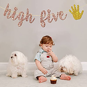 INNORU High Five Banner, Rose Gold Glitter Children 5th Birthday Party Decorations, 5th Birthday Garland Bunting, Boy Girl 5th Birthday Party Supplies