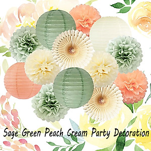 Sage Green Party Decorations Sage Cream Peach Tissue Paper Pom Poms Paper Lanterns Paper Fans for Neutral Birthday Baby Shower Bridal Shower Wedding Engagement Party Decoration