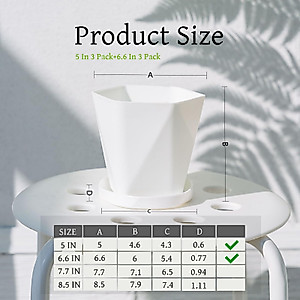 bisenwin Plant Pots Indoor Plastic Flower Pots Outdoor 5 inch Set of 6 Pack with Drainage Holes and Saucers for Garden pots (5 inch 6 pcs)