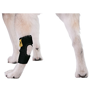 Agon® Dog Leg Braces For Back Leg wrap hock compression protects wounds and helps heal hind legs rear ankle joint, preventing injuries, sprains providing stability for dogs, canines arthritis (Medium)